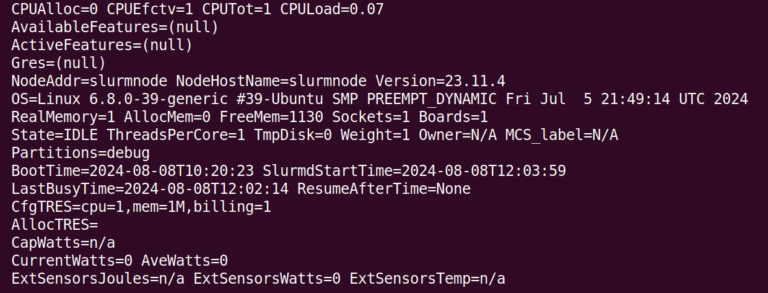 Installation des Slurm Workload Managers + GUI - Der Linux Wikinger