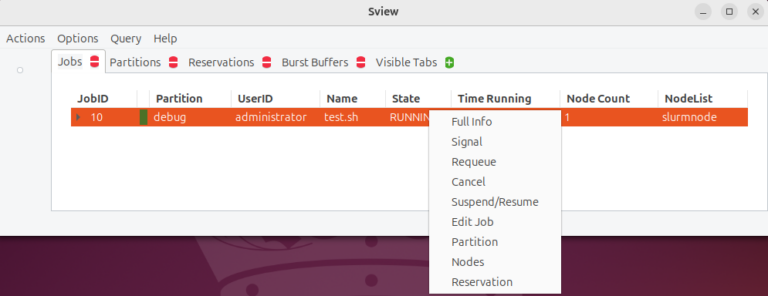 Installation des Slurm Workload Managers + GUI - Der Linux Wikinger