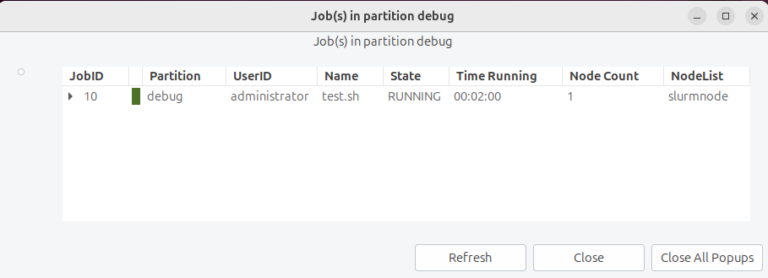Installation des Slurm Workload Managers + GUI - Der Linux Wikinger